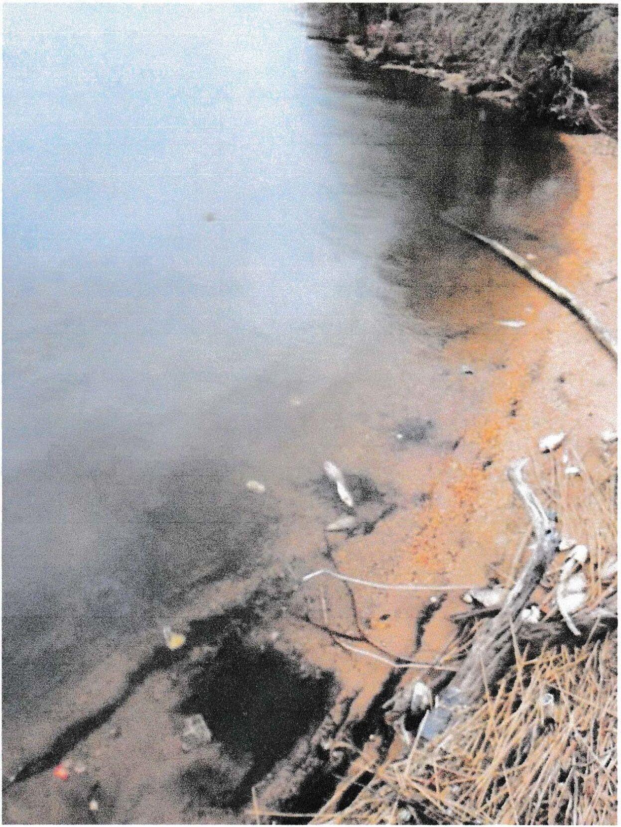 Maryland moves to take over troubled Baltimore sewage treatment plant ...