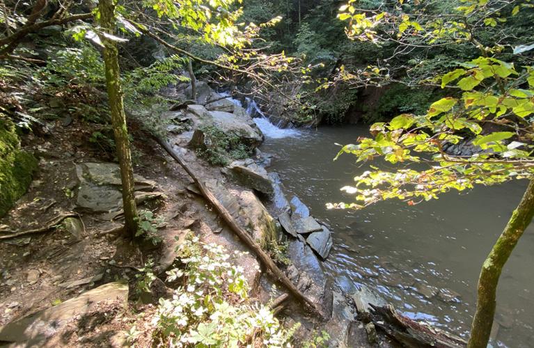Take a plunge into family fun at Moormans River hiking trails | Travel ...