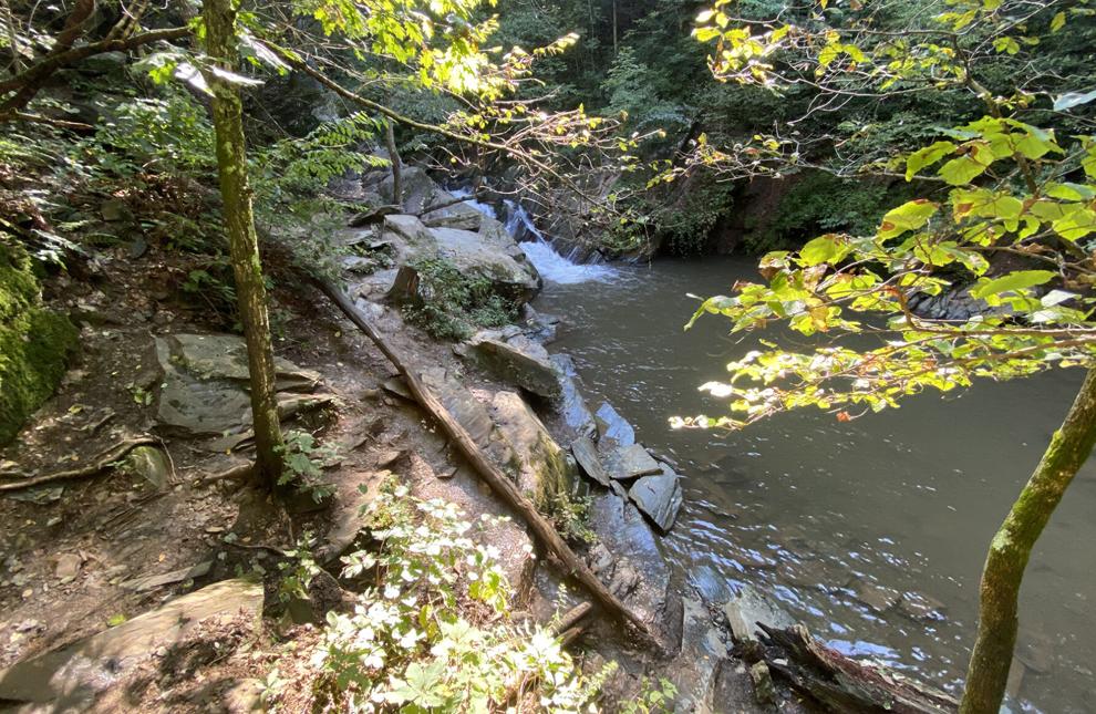 Take a plunge into family fun at Moormans River hiking trails | Travel | bayjournal.com