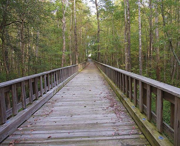 Forts Boykin, Huger are sentries to history of war on the James ...