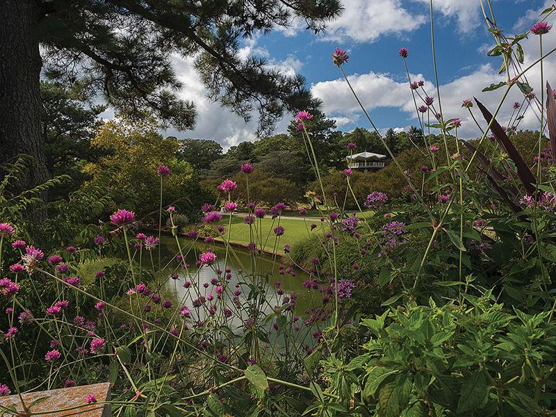 ‘Dig a little deeper’ at the Norfolk Botanical Garden | Travel ...