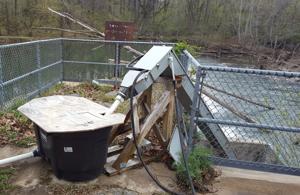 Dam removal yields an eel bonanza on Maryland's Patapsco River ...