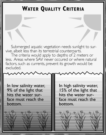 Bay Program unveils draft criteria for clean Bay | Pollution ...