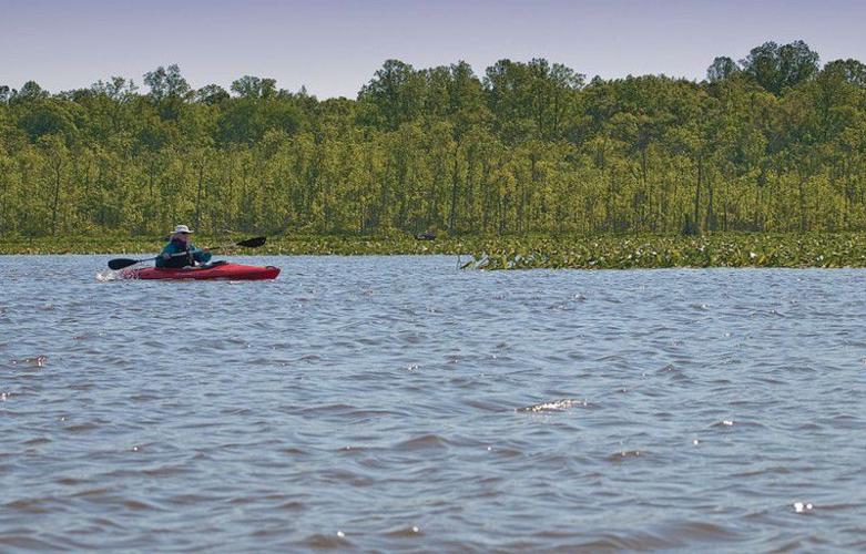 Mattawoman watershed at a tipping point | Growth & Conservation ...