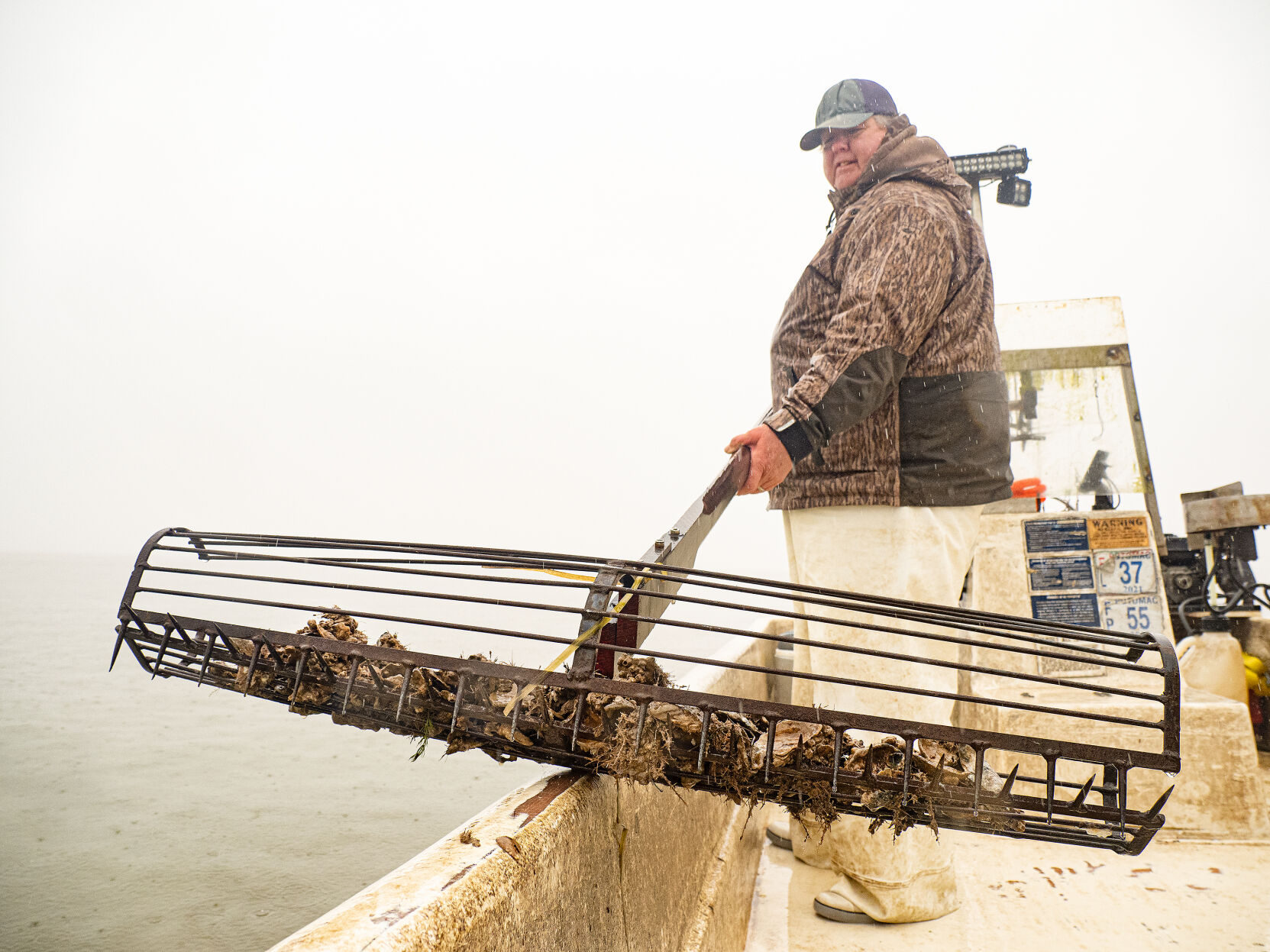 Trove of oyster shells discovered in Potomac River. Now what ...