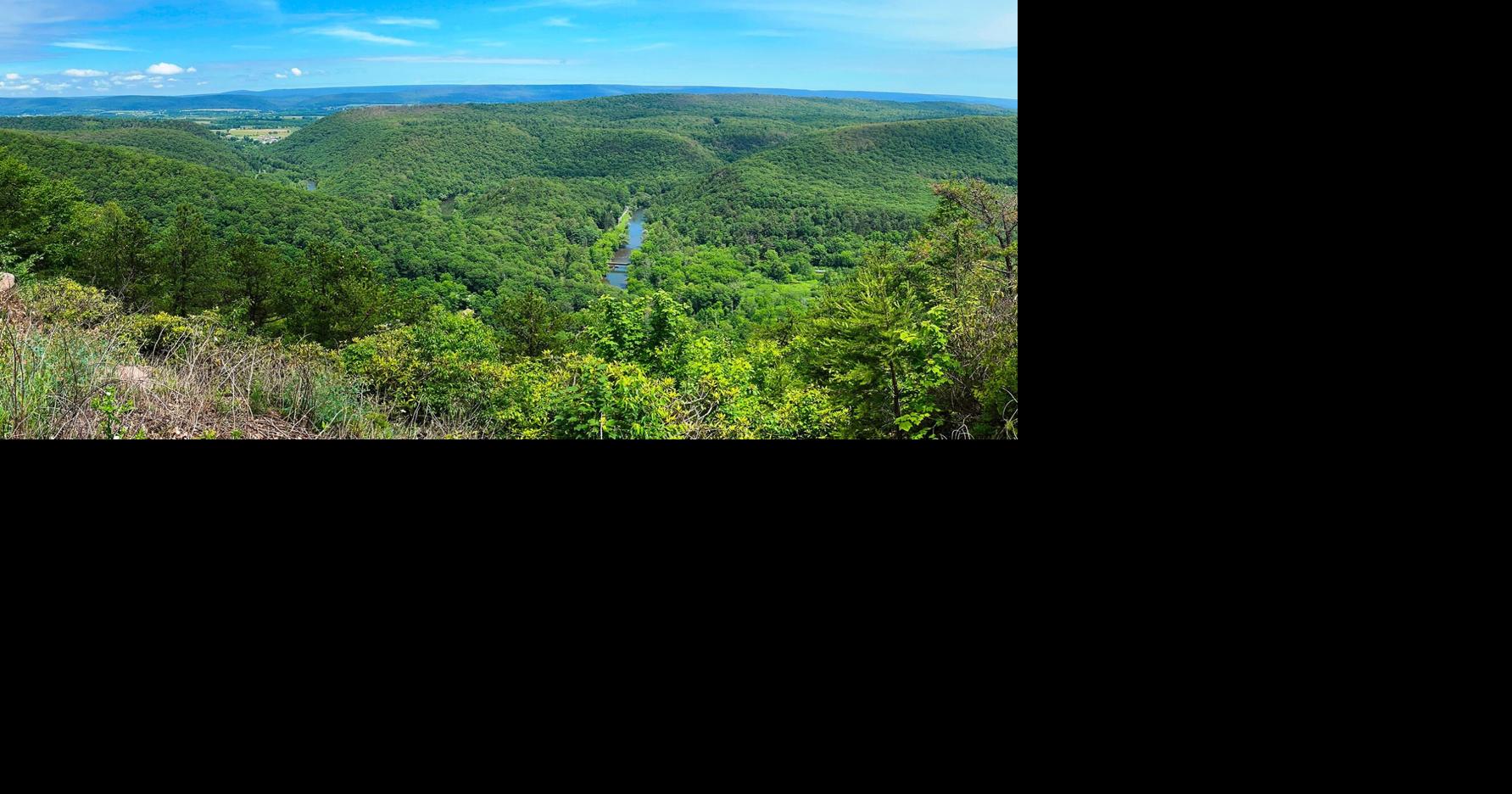 A new plan for PA forests: new uses, more trails, continued logging ...