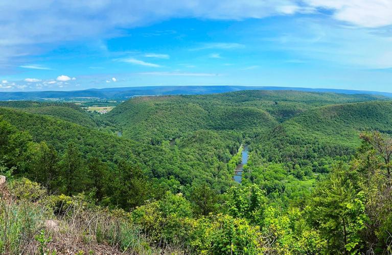 A new plan for PA forests: new uses, more trails, continued logging ...