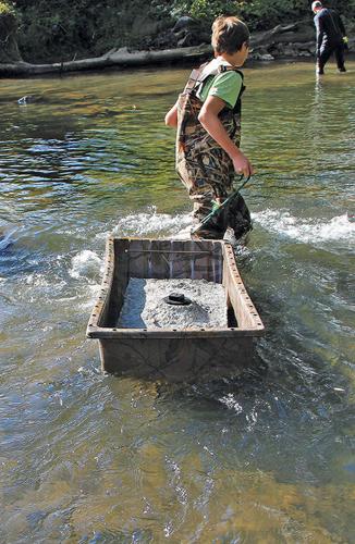 hellbenders funny faces