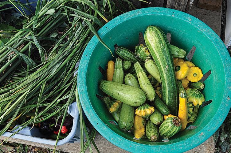 Farmer goes wild fostering native plants alongside organic produce ...
