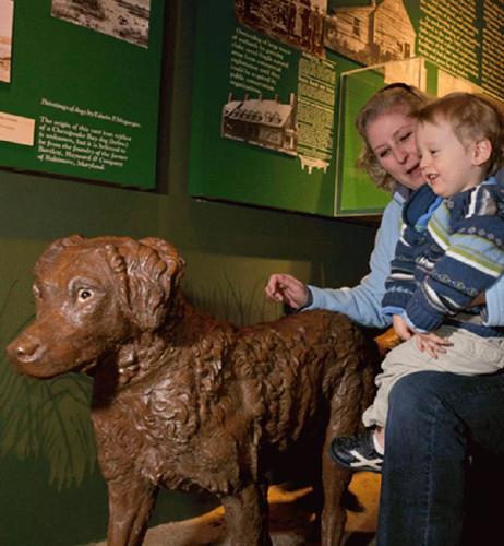 Ward Museum of Waterfowl Art carving out new niches for visitors ...