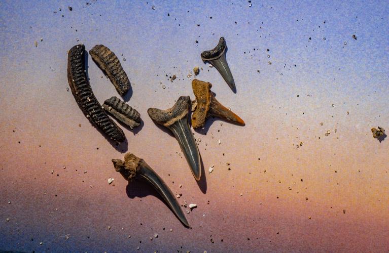 Douglas Point harbors nature and history in Southern Maryland | Travel ...