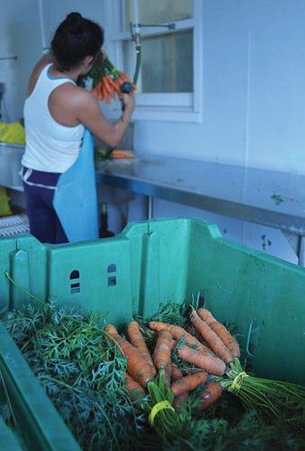 Farmer goes wild fostering native plants alongside organic produce ...