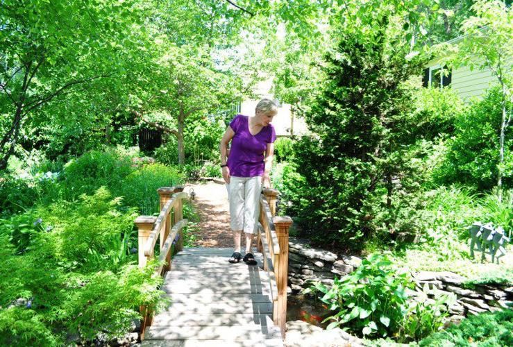 Food, forests, shade, carbon, and rain -- Trees are good for all ...