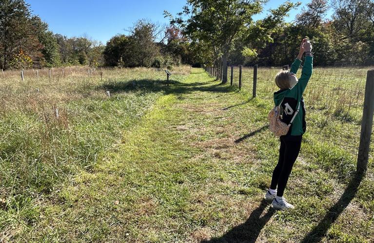 A valley of small wonders in ‘Virginia’s Weekend Address’ | Travel ...
