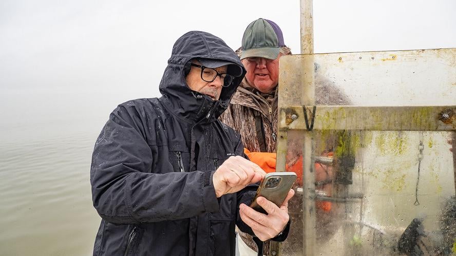 Trove of oyster shells discovered in Potomac River. Now what ...