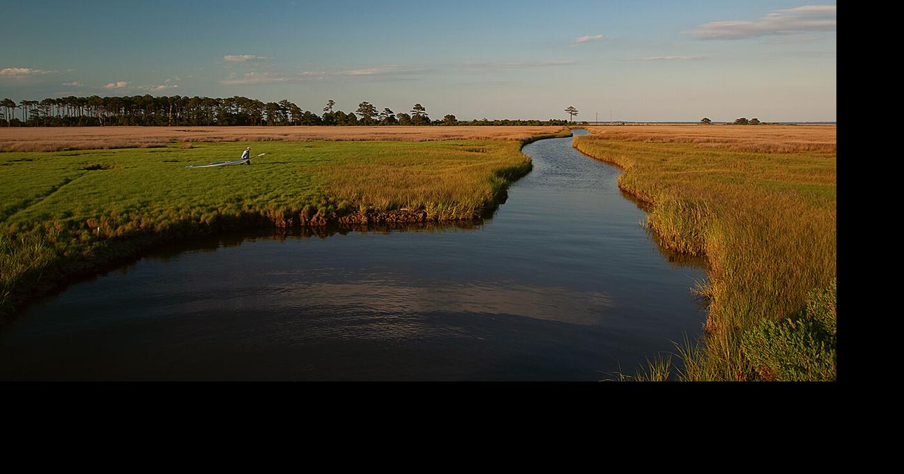 Chesapeake Bay restoration leaders, advocates divided on best path ...