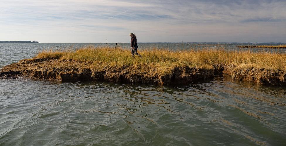 A photographic farewell to James Island | Climate Change | bayjournal.com