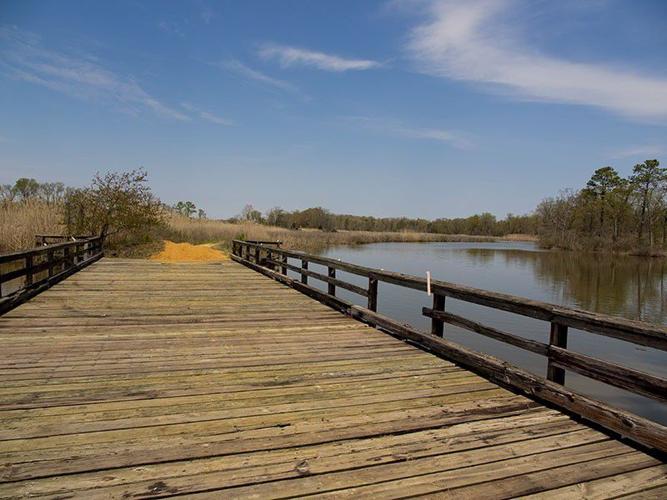 Explore Harriet Tubman country | Travel | bayjournal.com