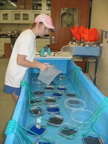 World is her oyster: Science Fair project earns teen international ...