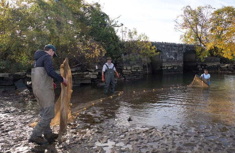 Plan to clean up toxic hot spots in DC’s Anacostia River faces upstream ...