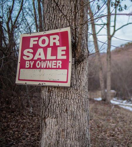 West Virginia struggling to hold the line on trees, runoff | Pollution ...
