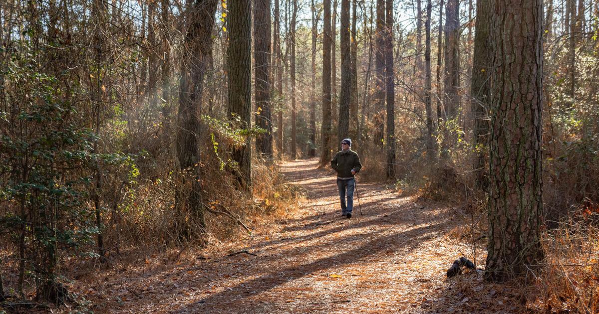 Redden State Forest's Heaquarters Tract trails for running | Travel ...