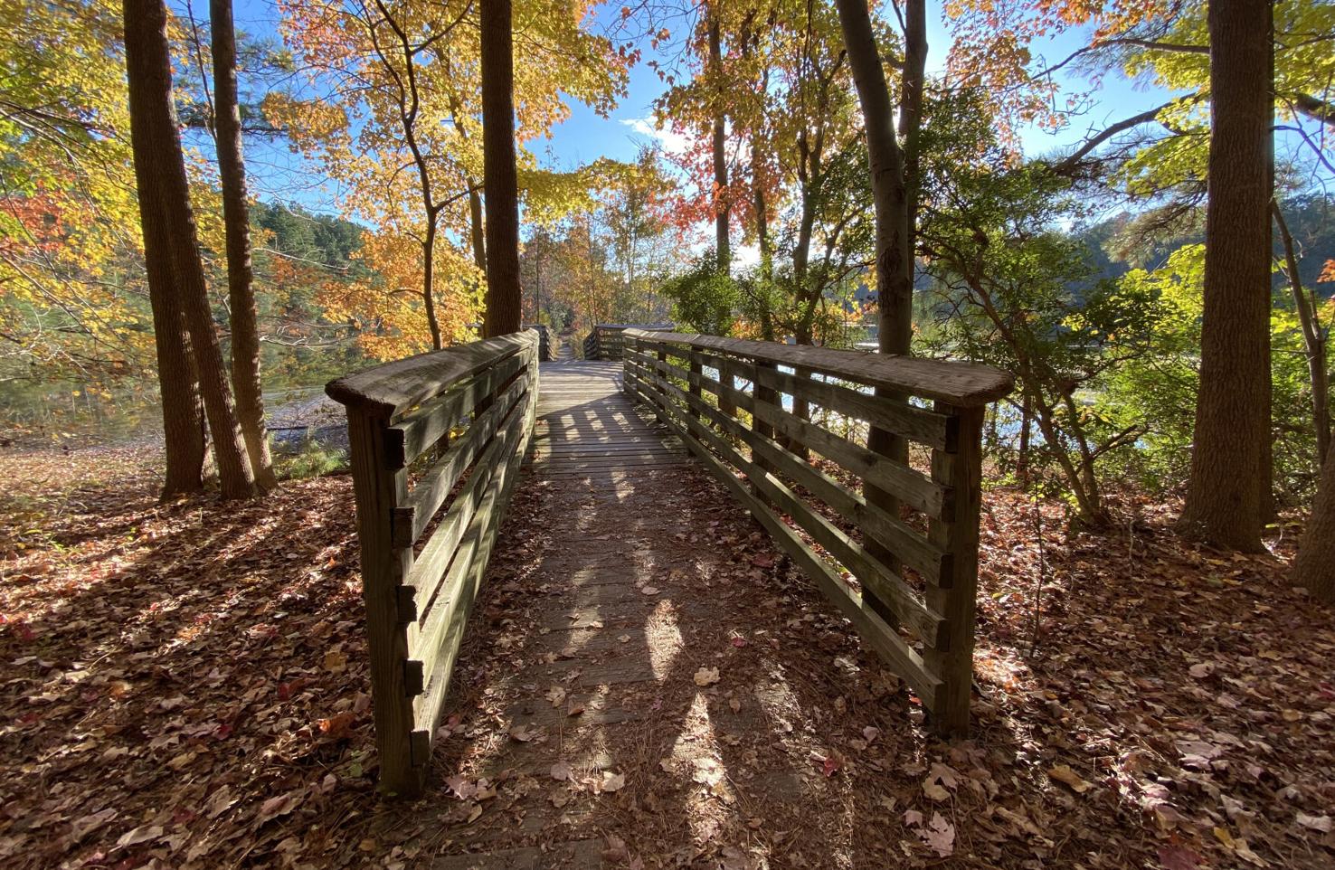 For an escape from suburbia, Sandy Bottom Nature Park is tops | Travel ...