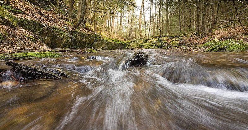 Hemlock Gorge hike: Streamside ramble offers cool retreat | Travel ...