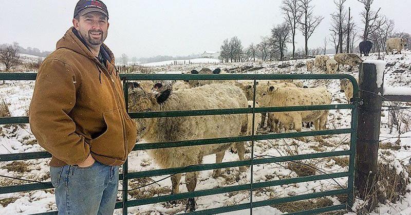 Farmer’s plan to create shade for livestock to bear fruit in more ways ...