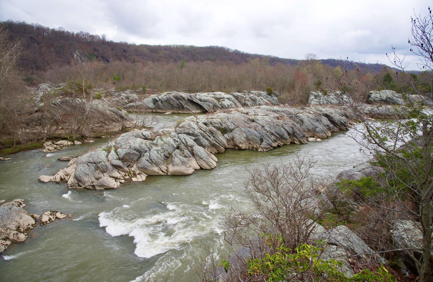 A rockin' paddle at Conowingo Islands | Travel | bayjournal.com