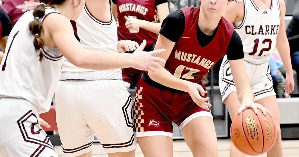 Husted scoring sparks DC to win over Clarke | Sports | bdemo.com