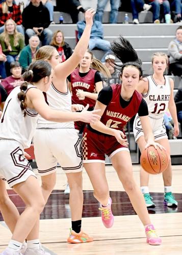 Husted scoring sparks DC to win over Clarke | Sports | bdemo.com