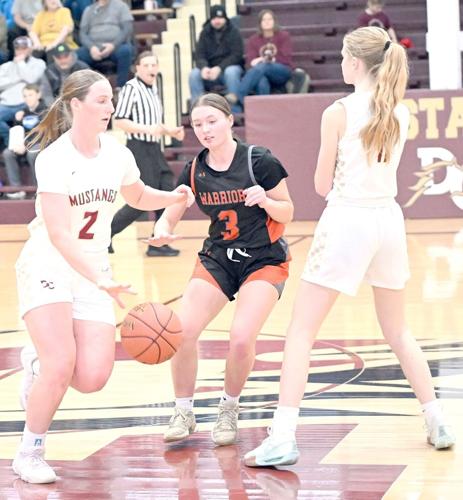 Husted leads DC in win over Warriors | Sports | bdemo.com