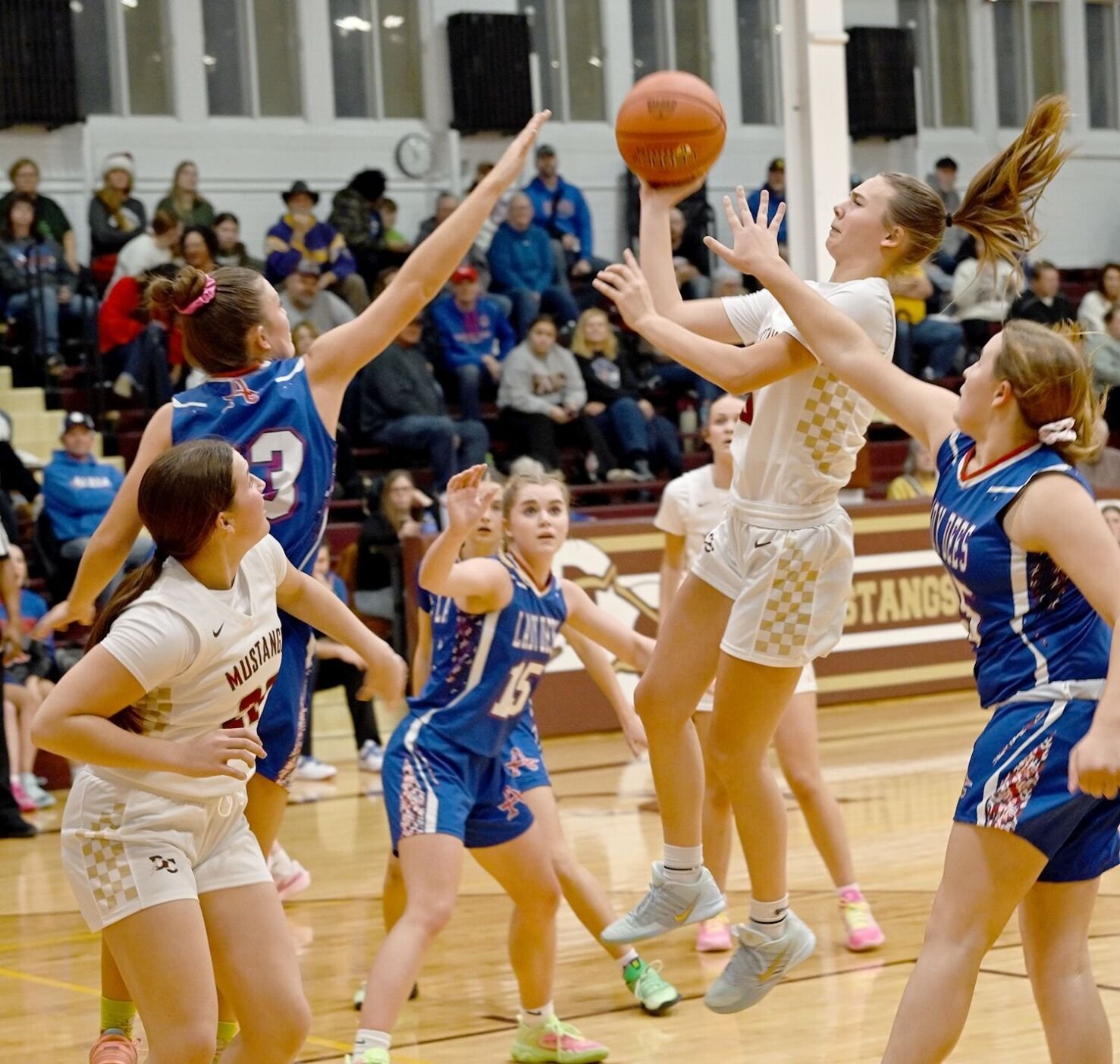 Albia rallies late to beat Lady Mustangs | Sports | bdemo.com