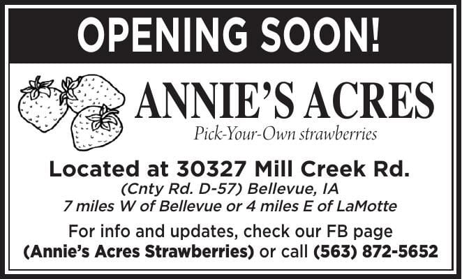 Annie's Acres Opening Soon | Jobs | bellevueheraldleader.com