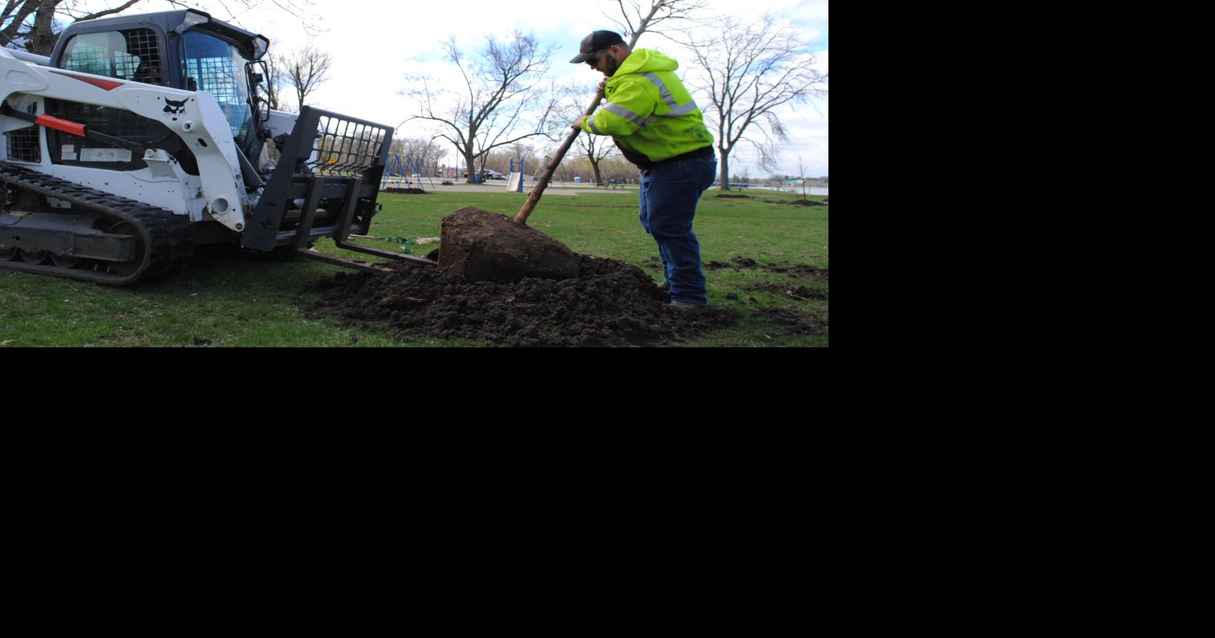 Town of Beloit receives tree planting grant | Community ...