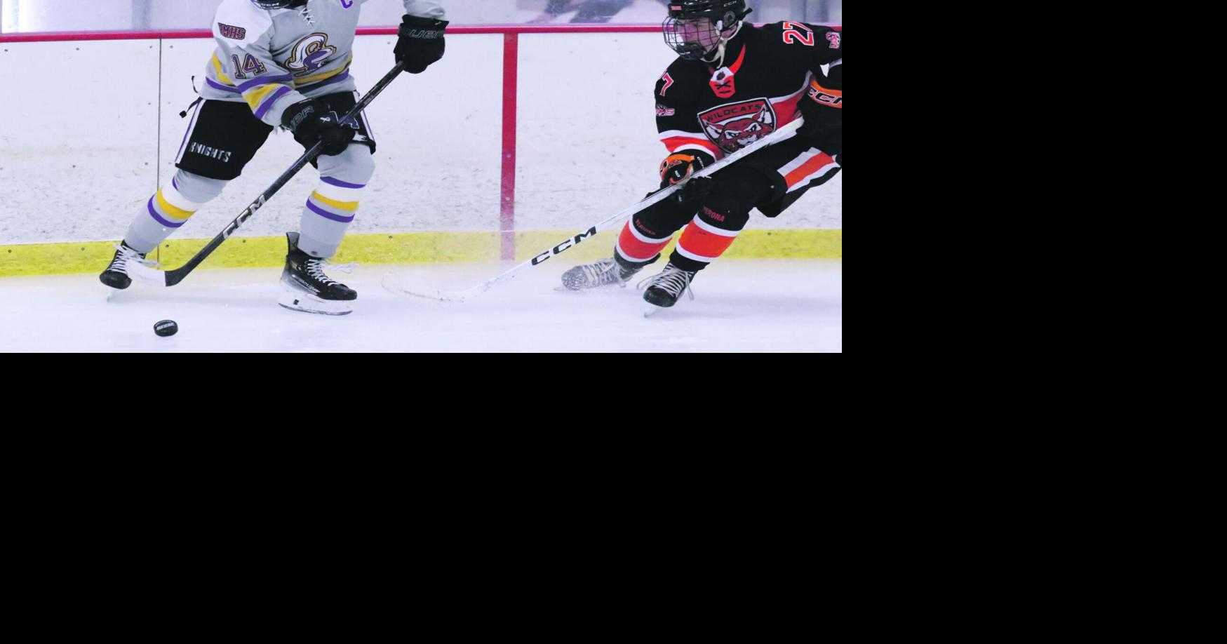 Beloit Memorial lands four players on All-Big Eight Hockey Team ...