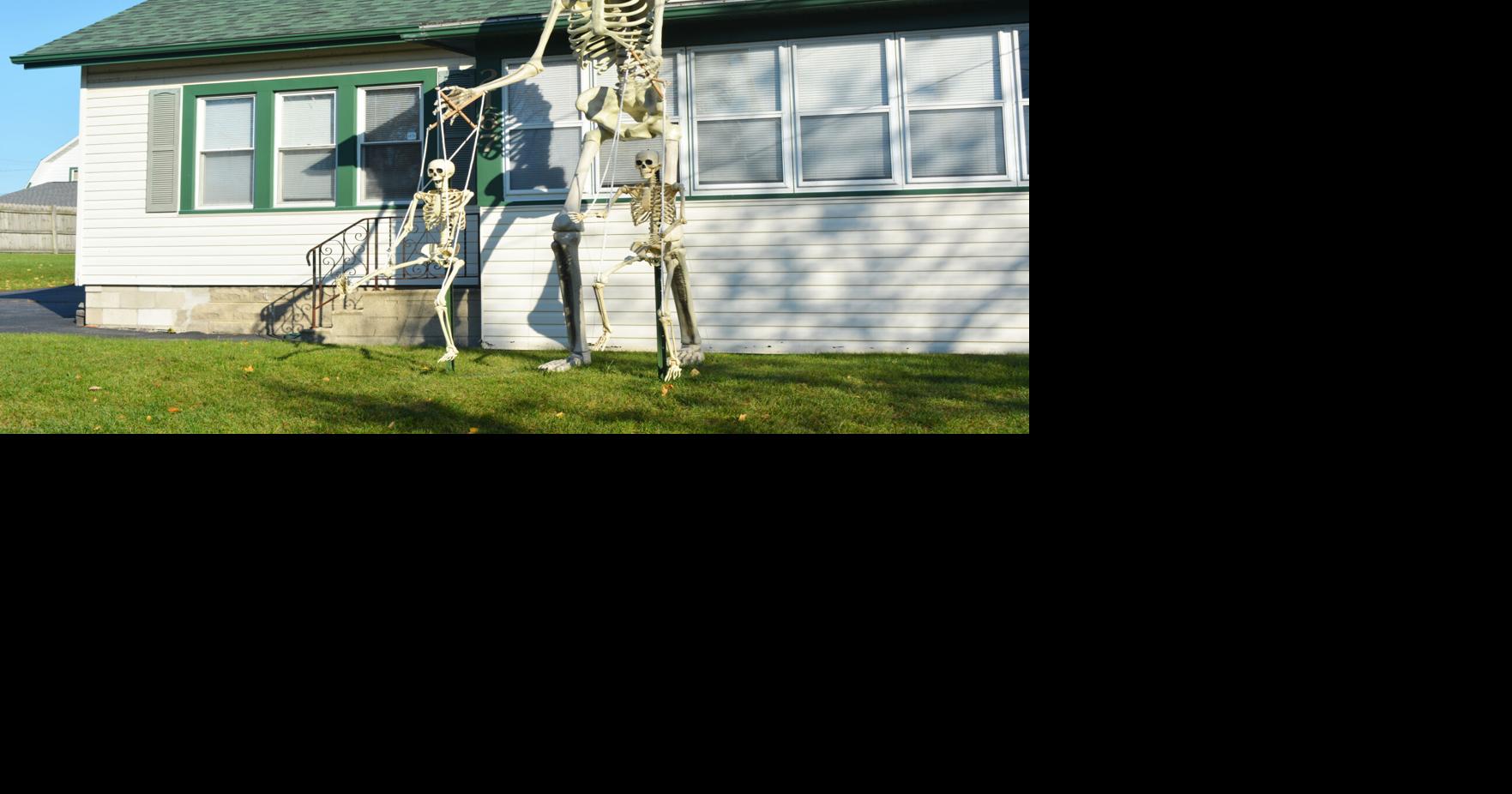 Skeletons on a string | Local News | beloitdailynews.com