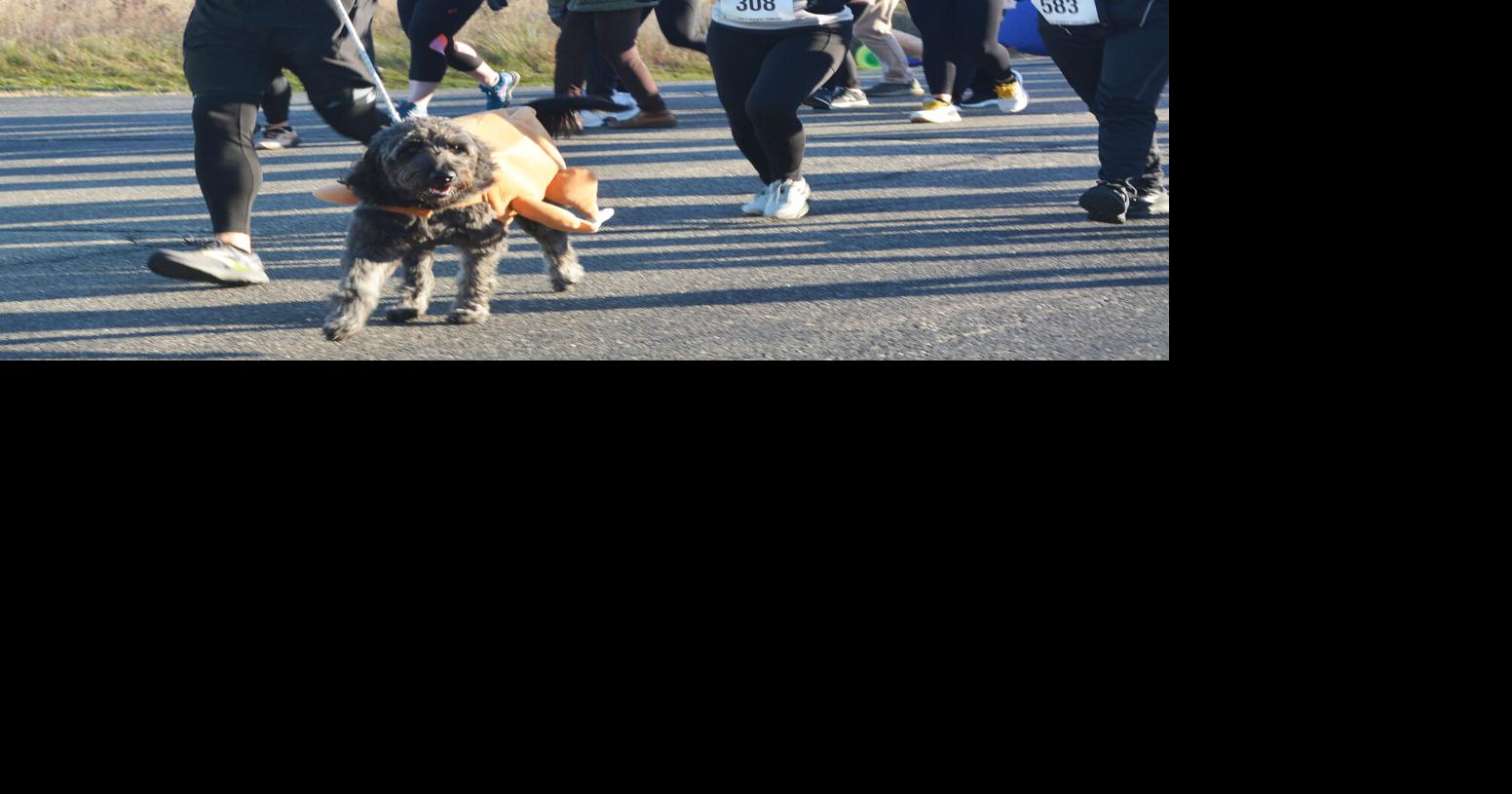 NorthPointe Turkey Trot draws 632 runners, walkers to Roscoe | Local ...