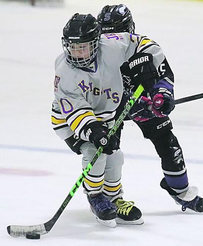 BYHA Squirt A Jr. Knights finish fourth in state tournament | Sports ...