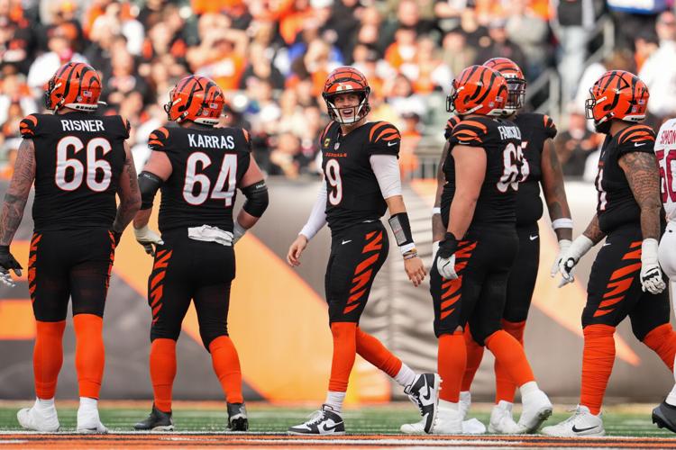 bengals nfl
