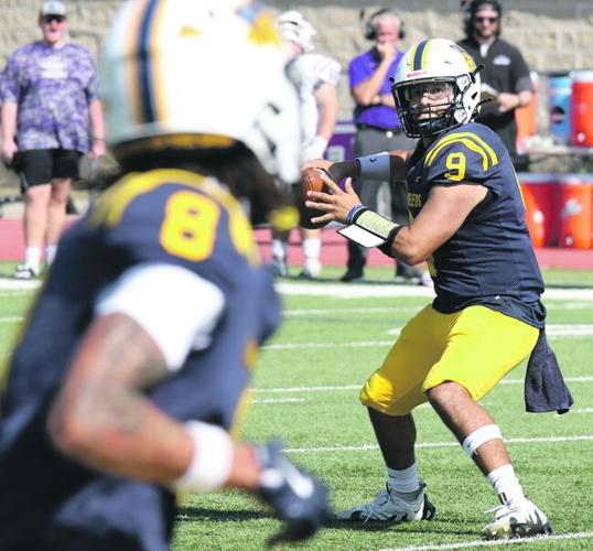 Beloit College finally has some depth at QB, even if it's inexperienced ...