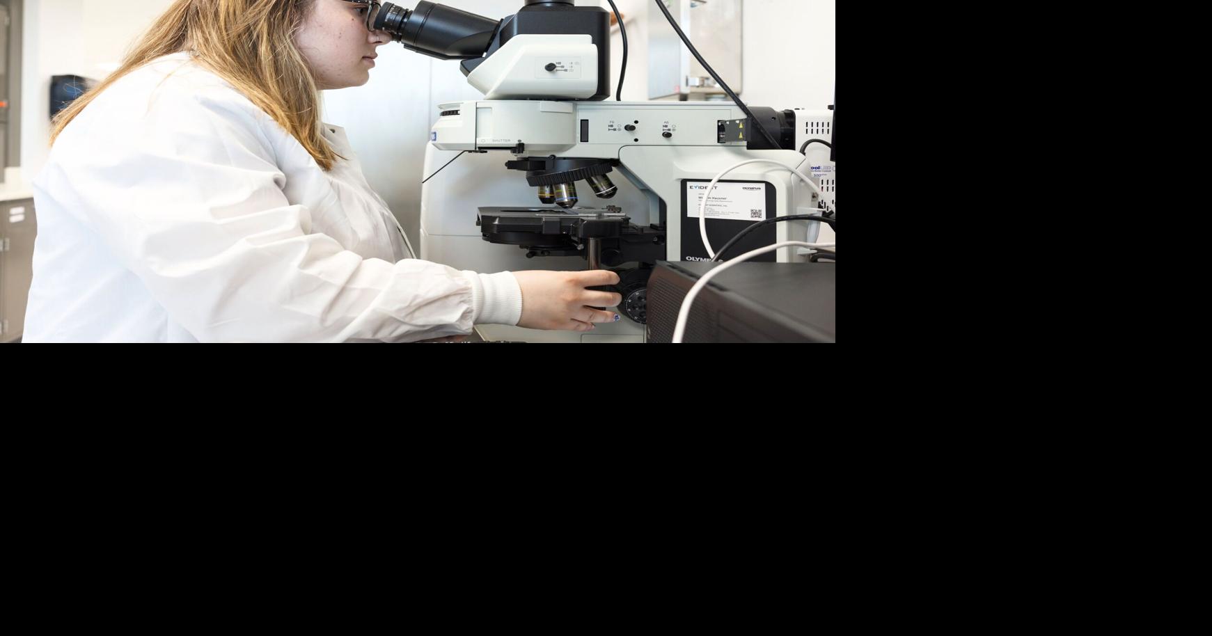 Kerry investing in making food and drinks safer | Business News ...