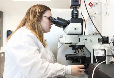 Kerry investing in making food and drinks safer | Business News ...