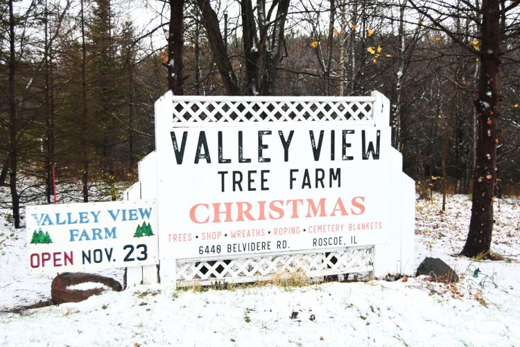 New owner ready to continue Roscoe tree farm traditions | Business News ...