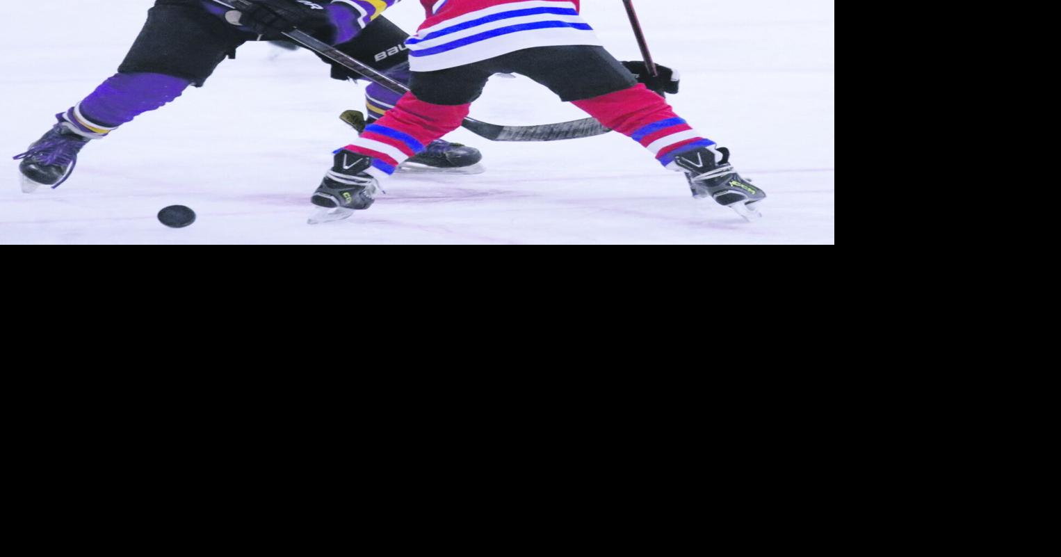 Edwards ice arena subject in new use of city council's time | Local ...