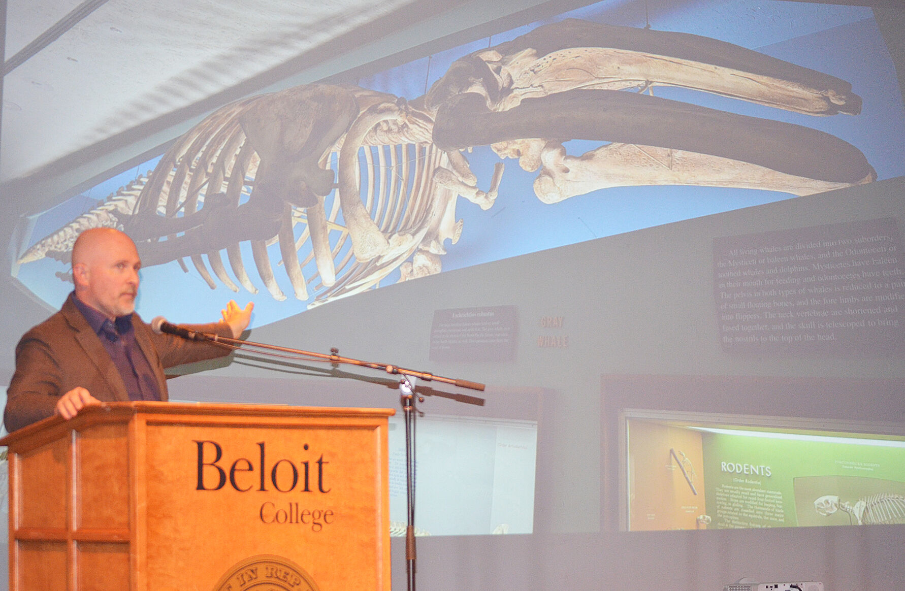 Whale evolution explored by Explorer Award recipient | Local News ...
