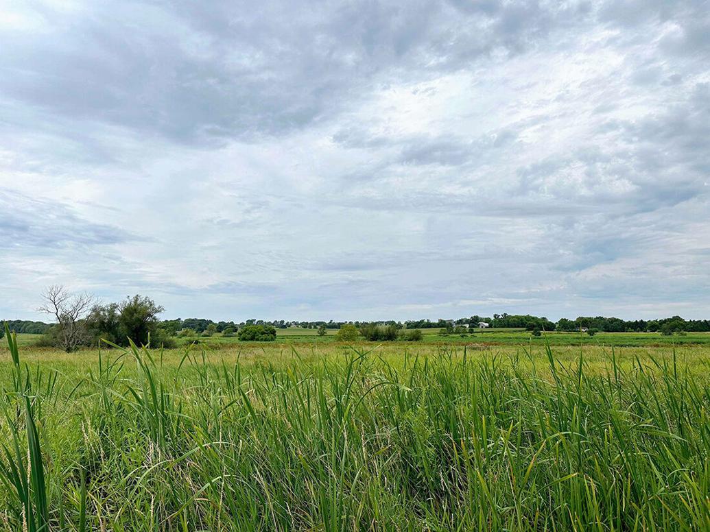 Bonfire and S'mores offered at Pecatonica Ridge Preserve | Local News ...