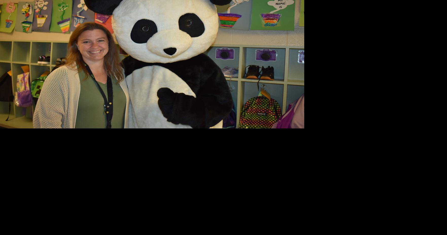 Panda returns to her Powers, unBEARably excited | Local News ...