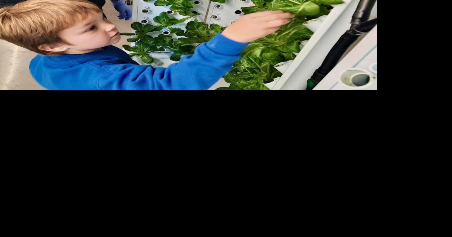 With expansion completed this fall, The Lincoln Academy will welcome ...